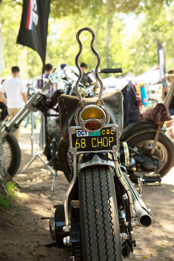 Tons of Sissy Bar Ideas